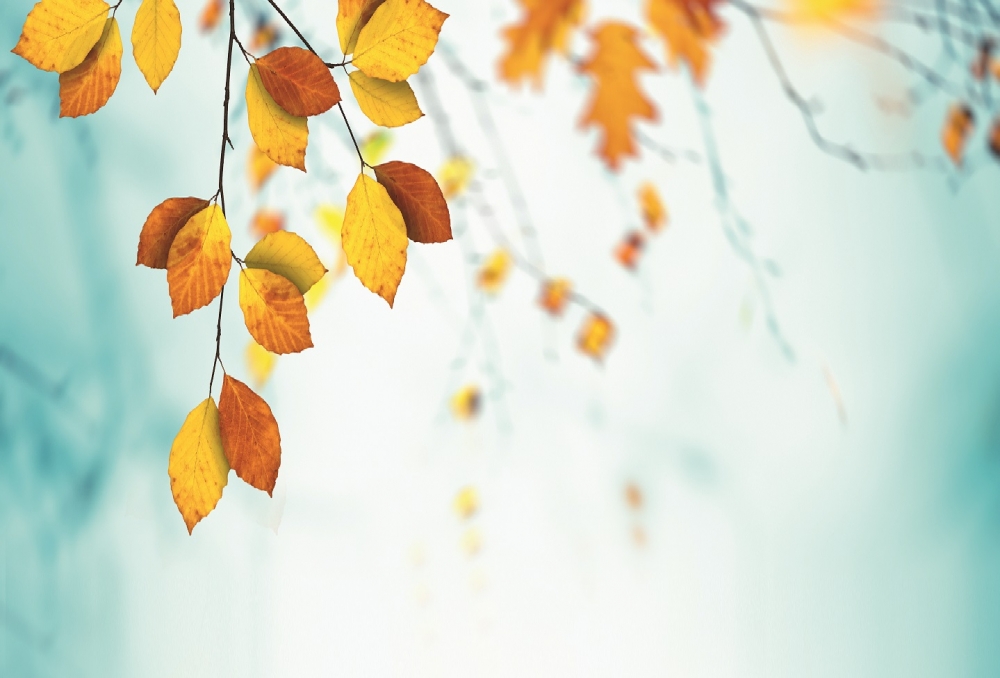 Fall into line | Tax Adviser