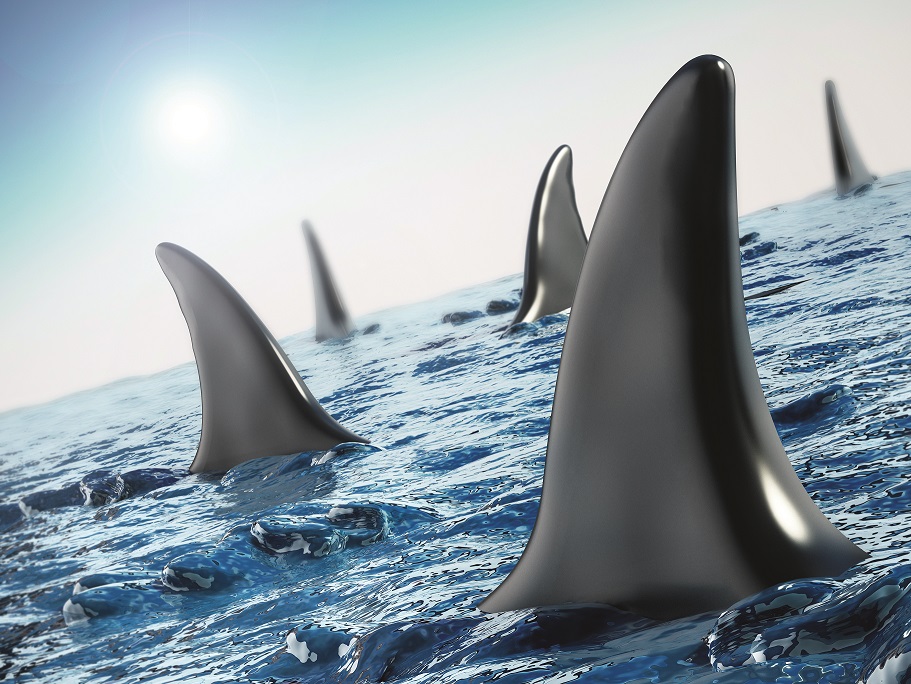 Shark infested-waters | Tax Adviser