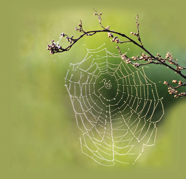 Catching the unwary | Tax Adviser