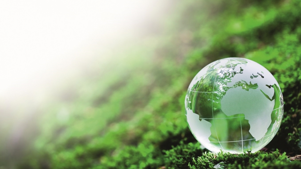 Global transparency | Tax Adviser