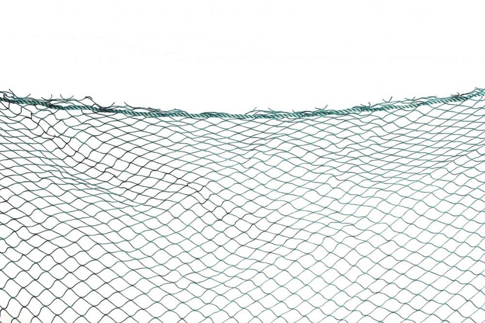 Too wide a net | Tax Adviser