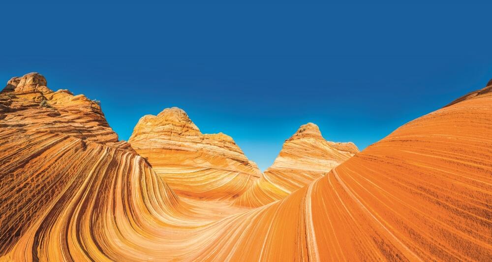 Continuing action | Tax Adviser