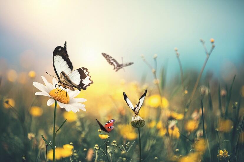 Spring to mind | Tax Adviser